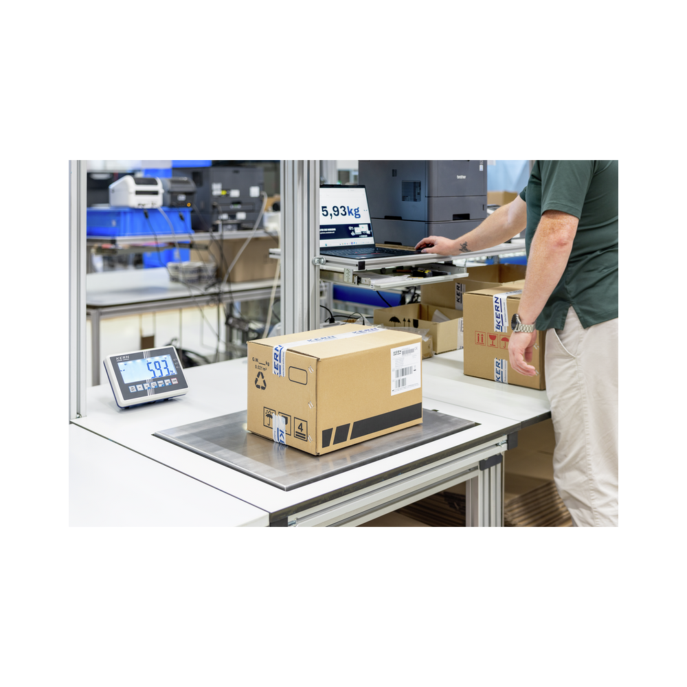 KERN IFC 300K-2 Platform scale